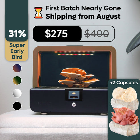 Sproushi - Smart Mushroom Machine